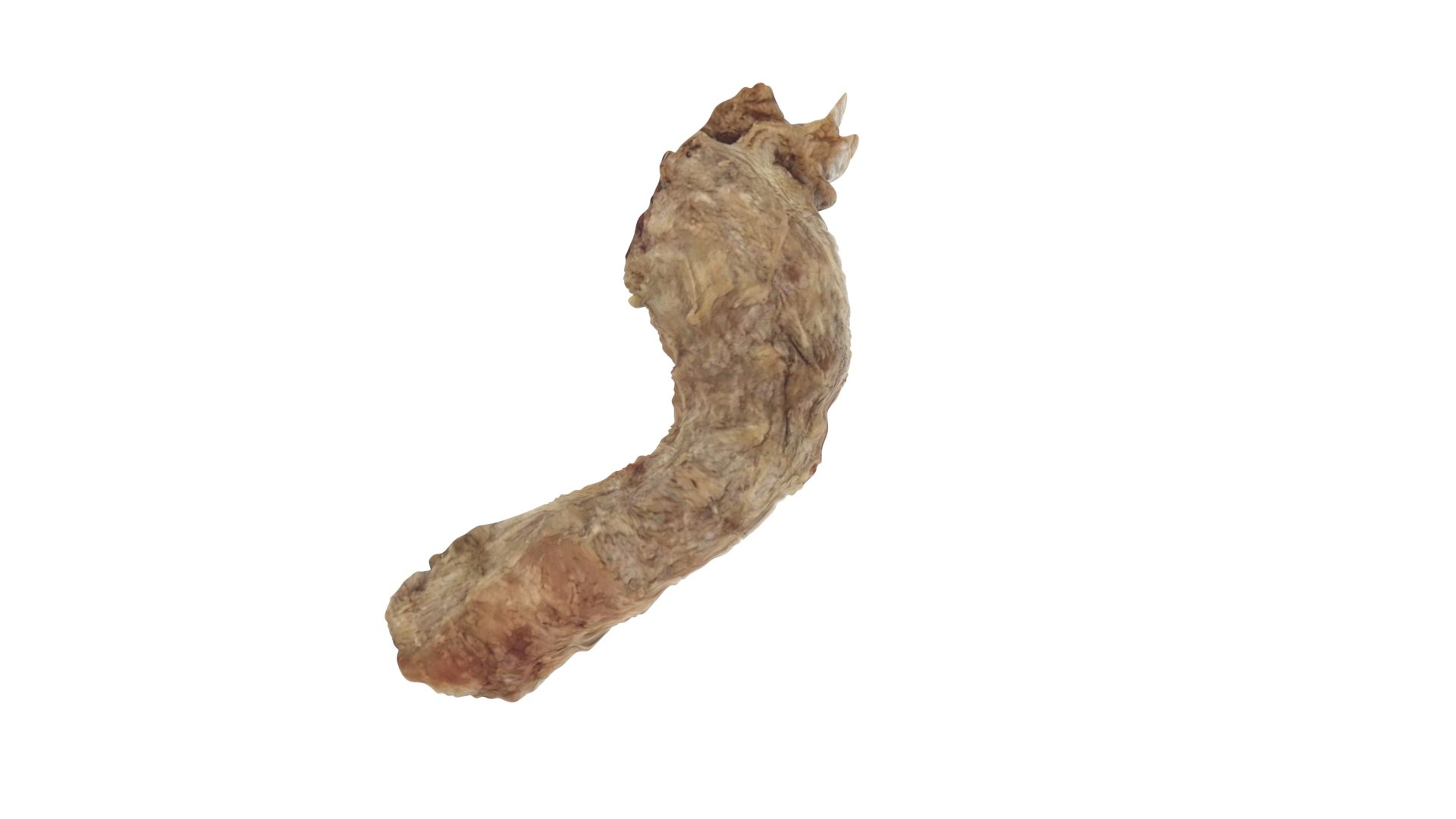 Chicken Neck 3D - TurboSquid 2249276