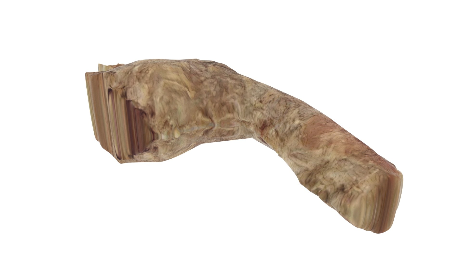 Chicken Neck 3D - TurboSquid 2249276