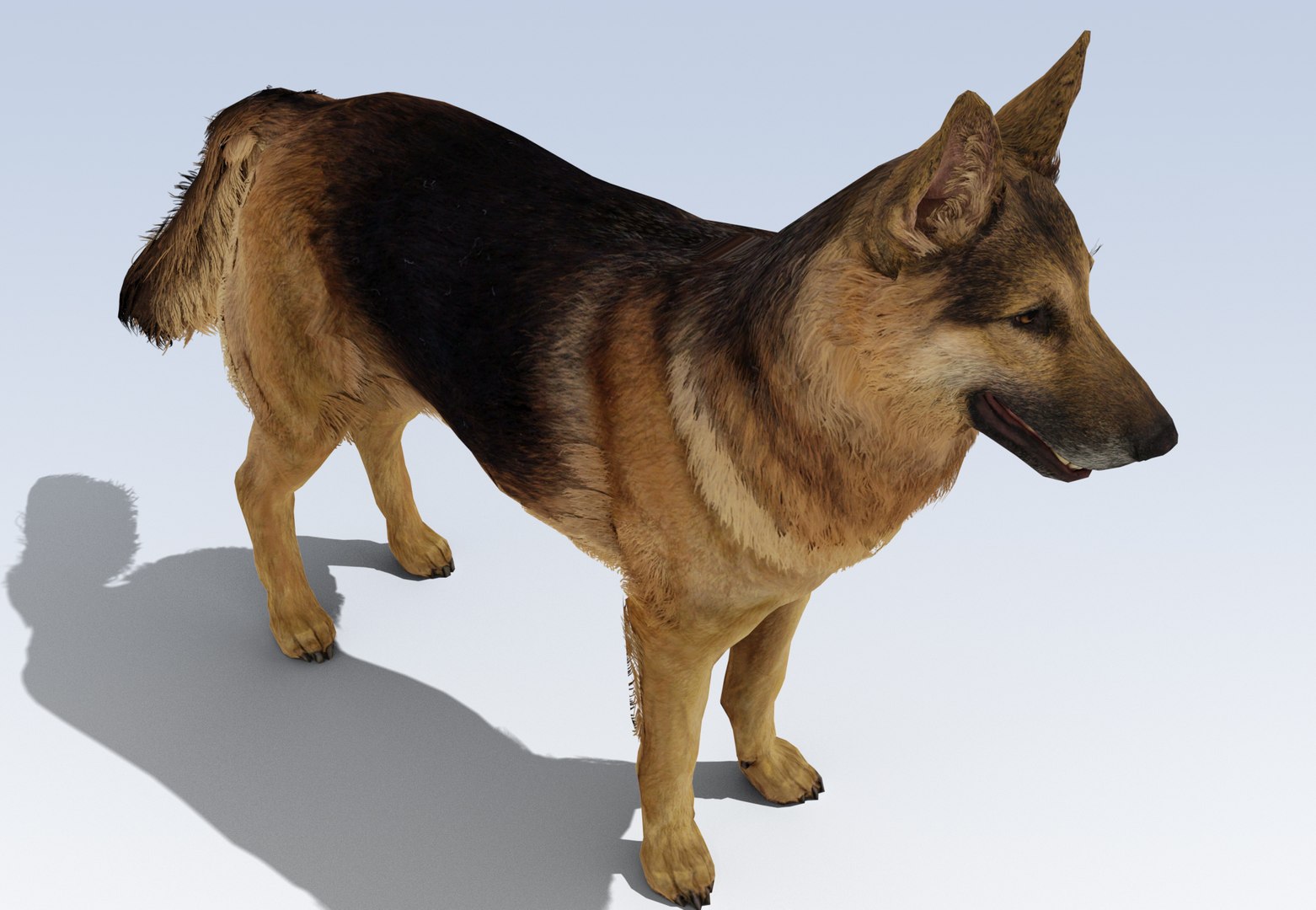3D Model German Shepherd Dog Rig - TurboSquid 2070999