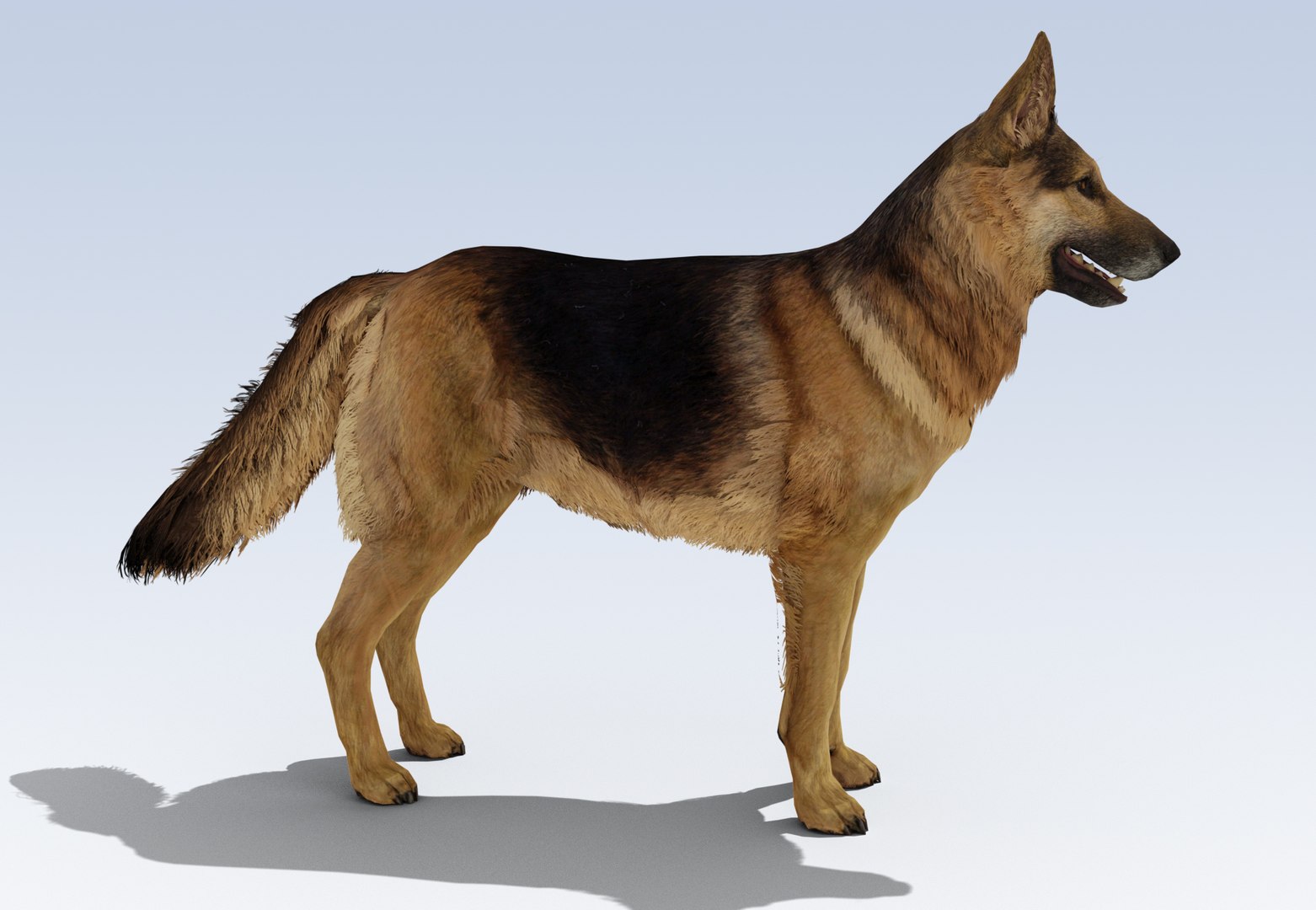 3D Model German Shepherd Dog Rig - TurboSquid 2070999