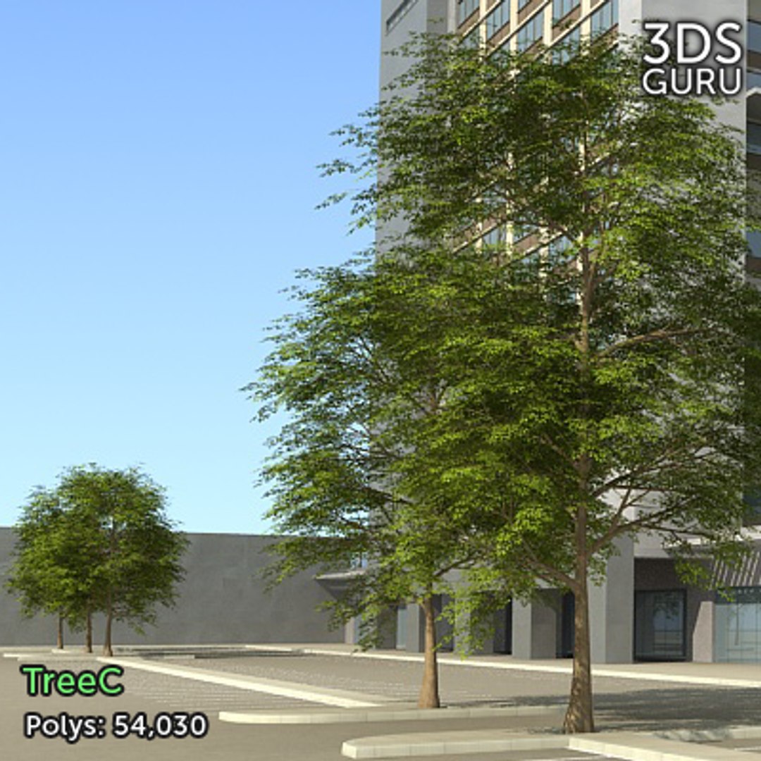 3d tree leaf model