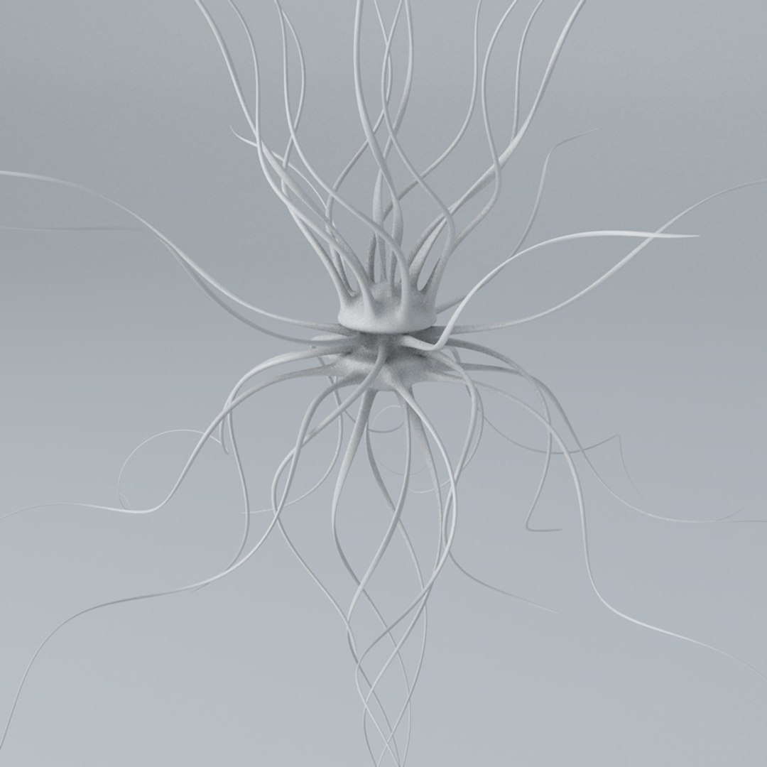 Fantasy Virus 3D Model - TurboSquid 1473723