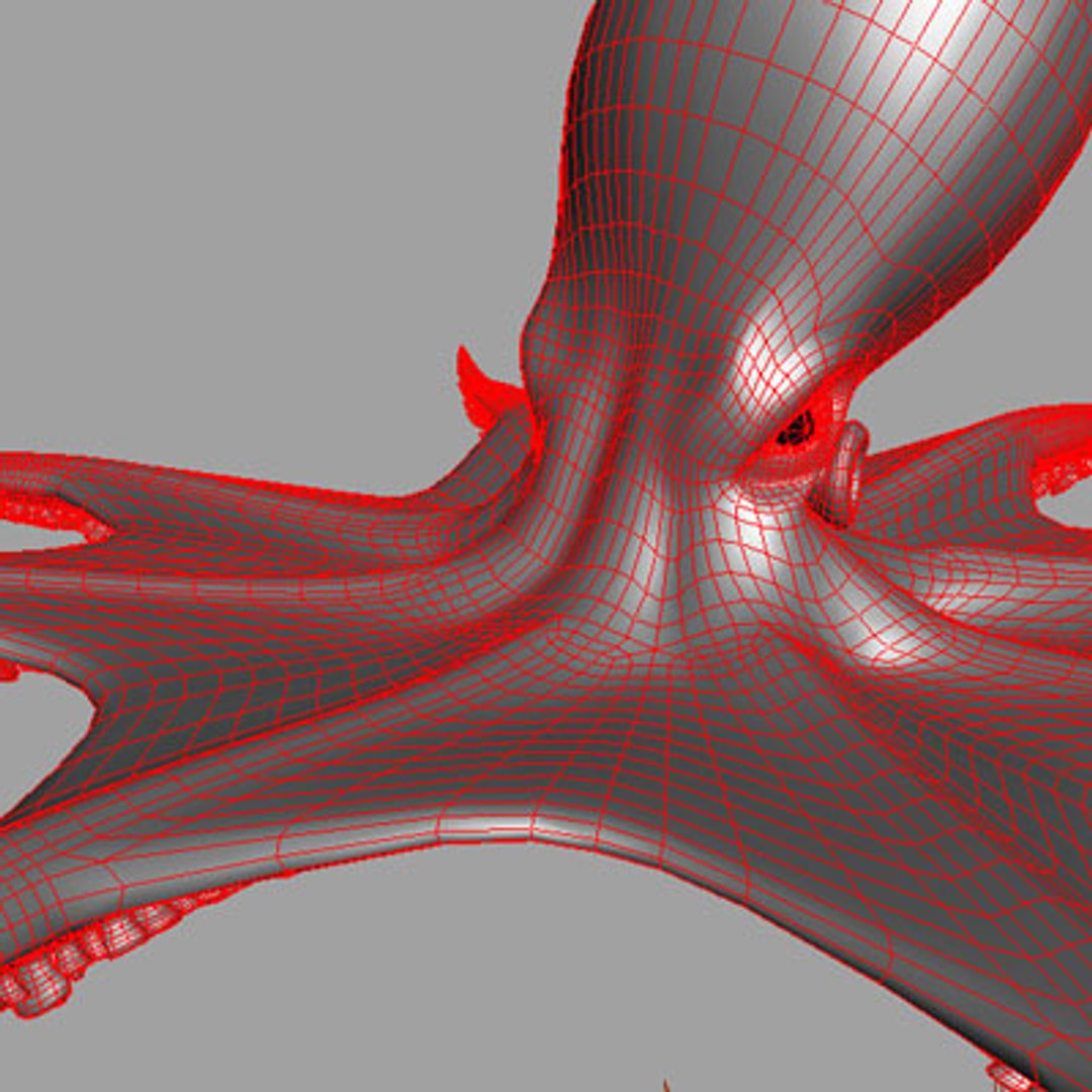 Octopus Kraken Sea 3d Model