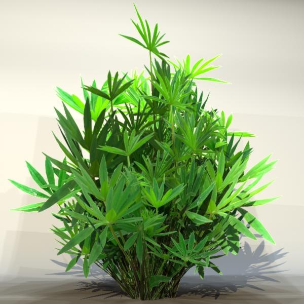 3d model pc bush