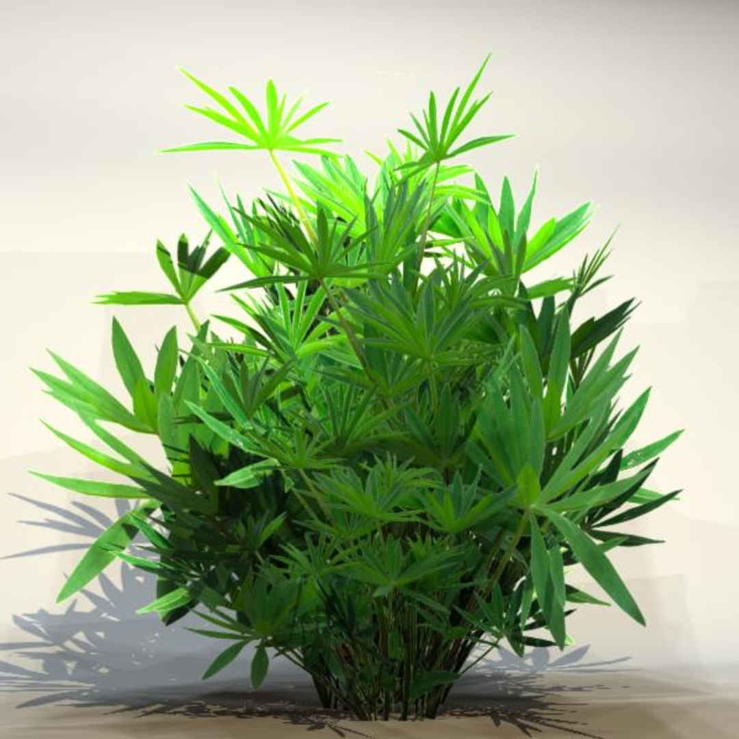 3d model pc bush