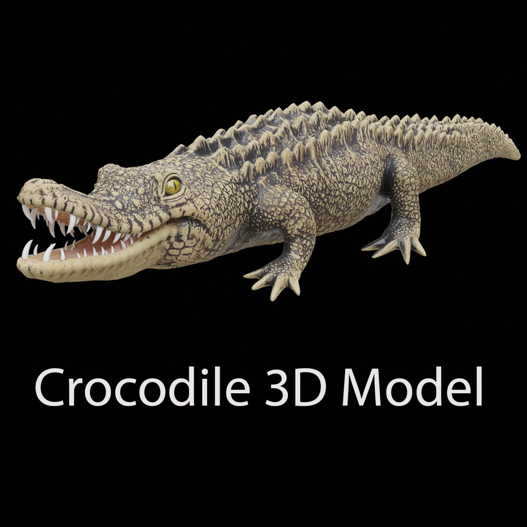 3D Crocodile 3D Model - TurboSquid 2064135