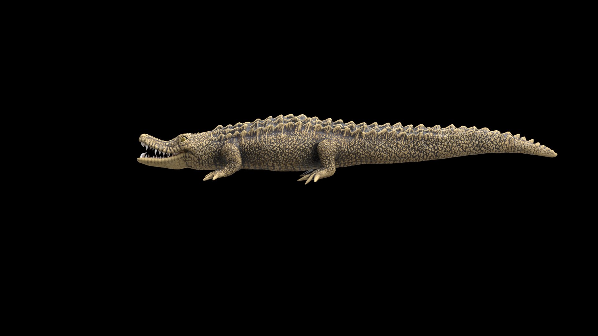3D Crocodile 3D Model - TurboSquid 2064135