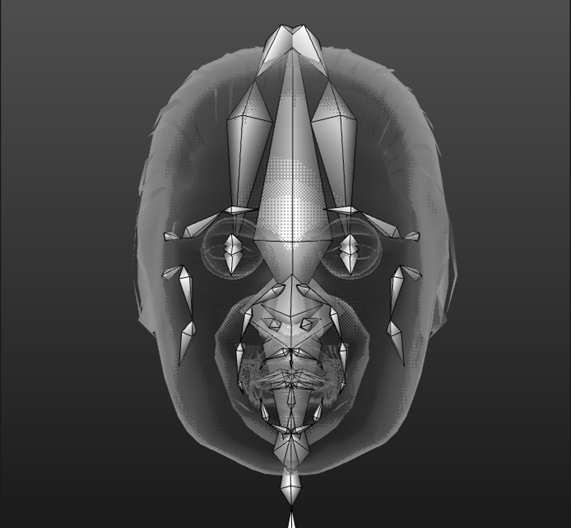 Adult Male Head 3D Model - TurboSquid 1588755