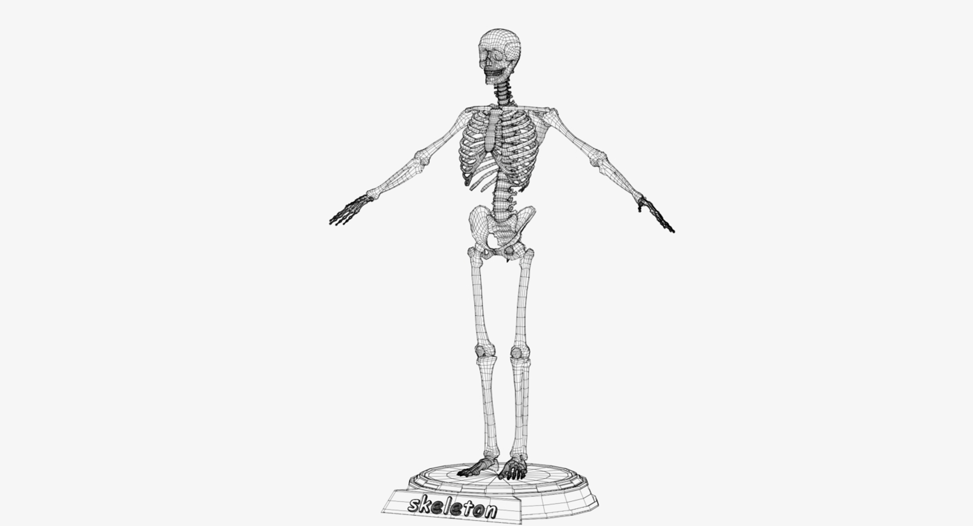 Male Body Skeleton Obj