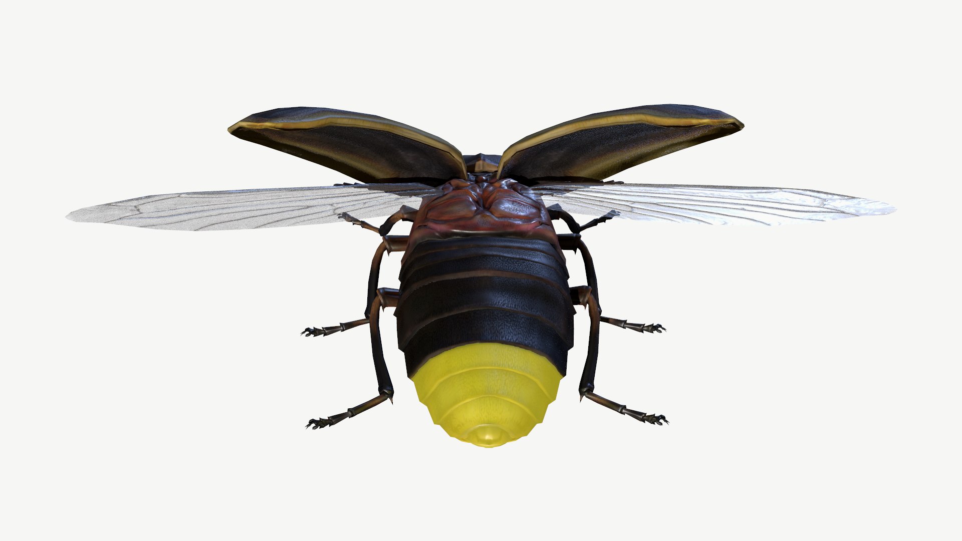 3D Firefly Model - TurboSquid 2193841