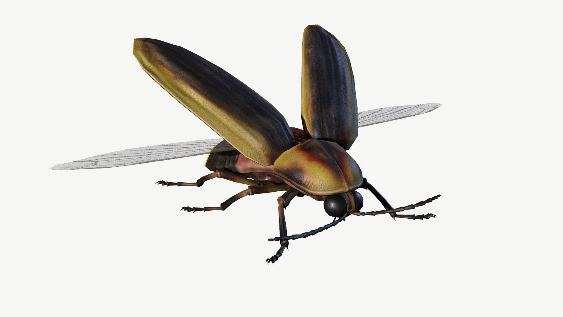 3D Firefly Model - TurboSquid 2193841