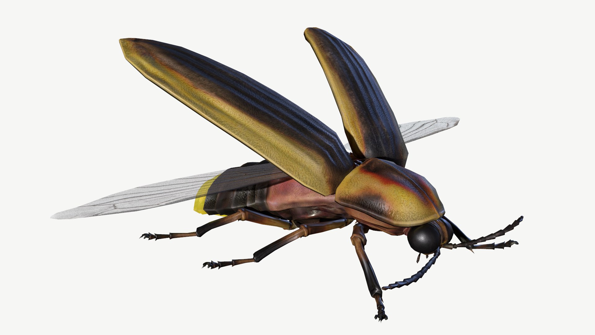 3D Firefly Model - TurboSquid 2193841