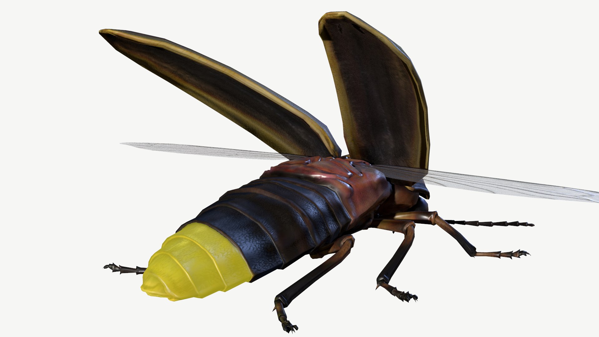 3D Firefly Model - TurboSquid 2193841