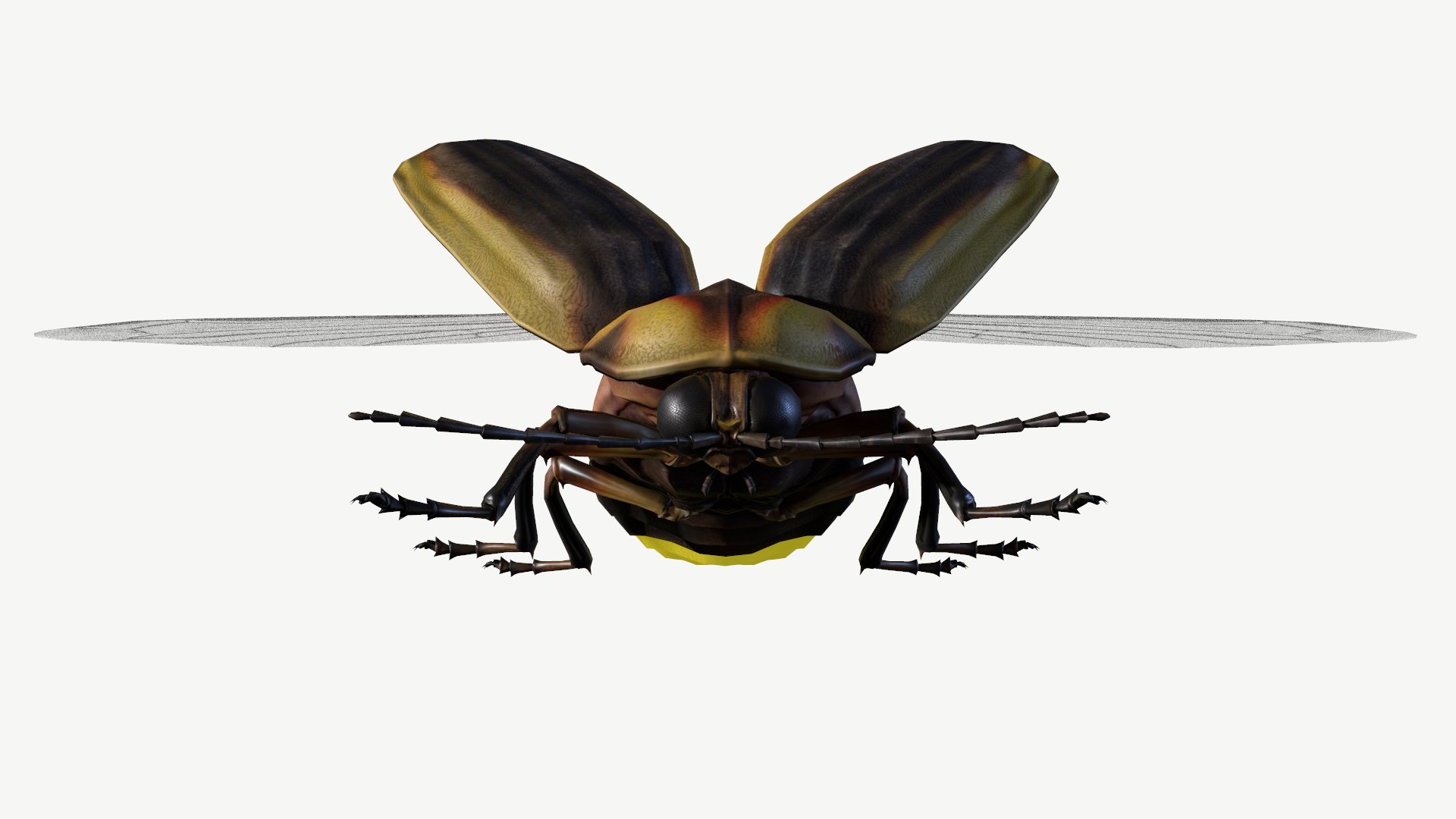 3D Firefly Model - TurboSquid 2193841