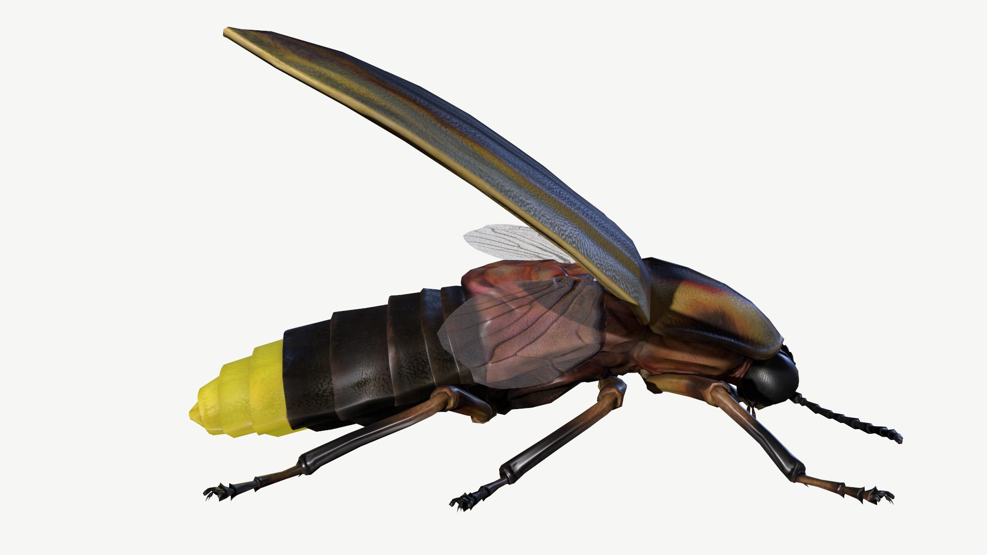3D Firefly Model - TurboSquid 2193841