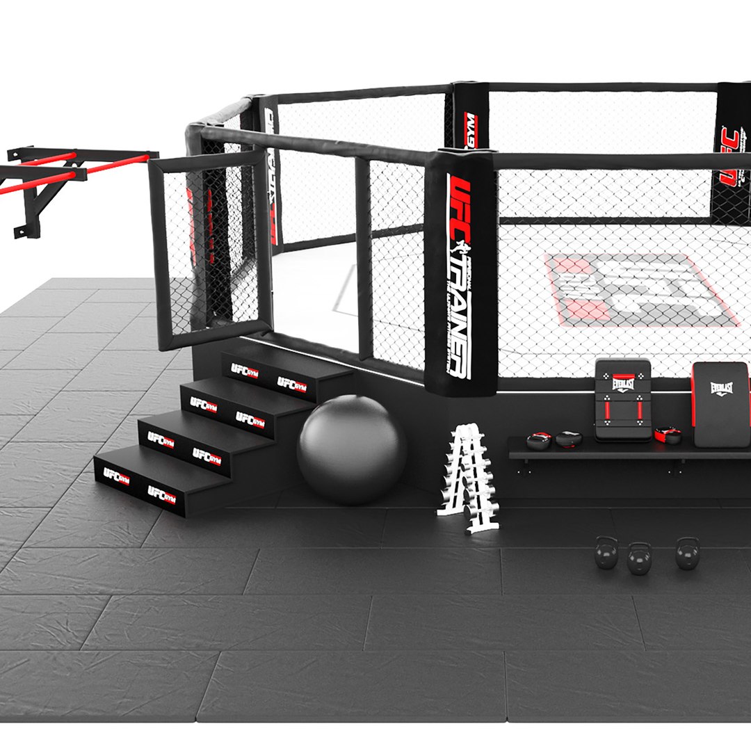 Inventory For UFC Hall 3D 3D Model - TurboSquid 1920387