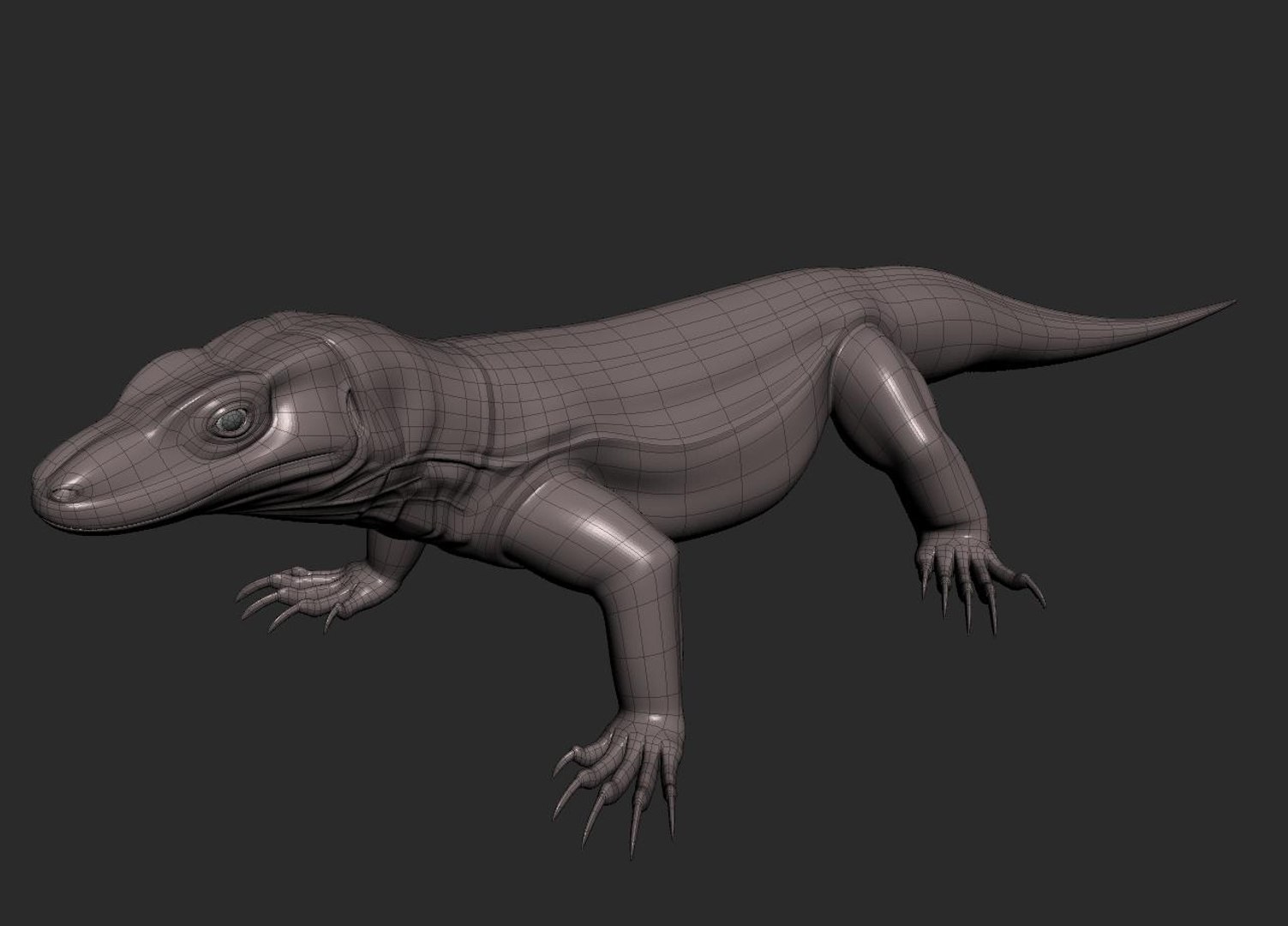 Komodo Dragon 3d Model