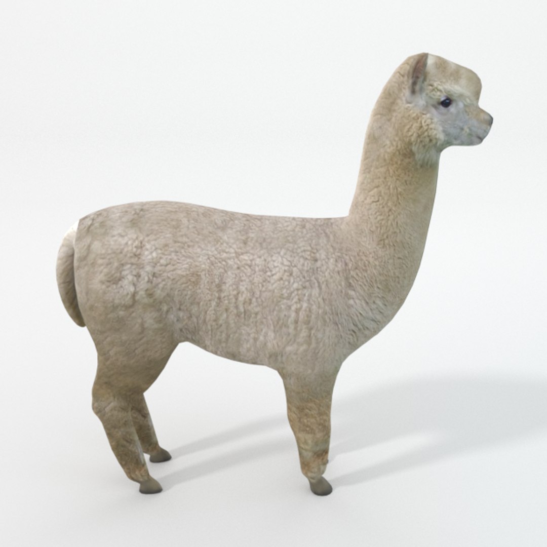 3D Llama Model - TurboSquid 1316793