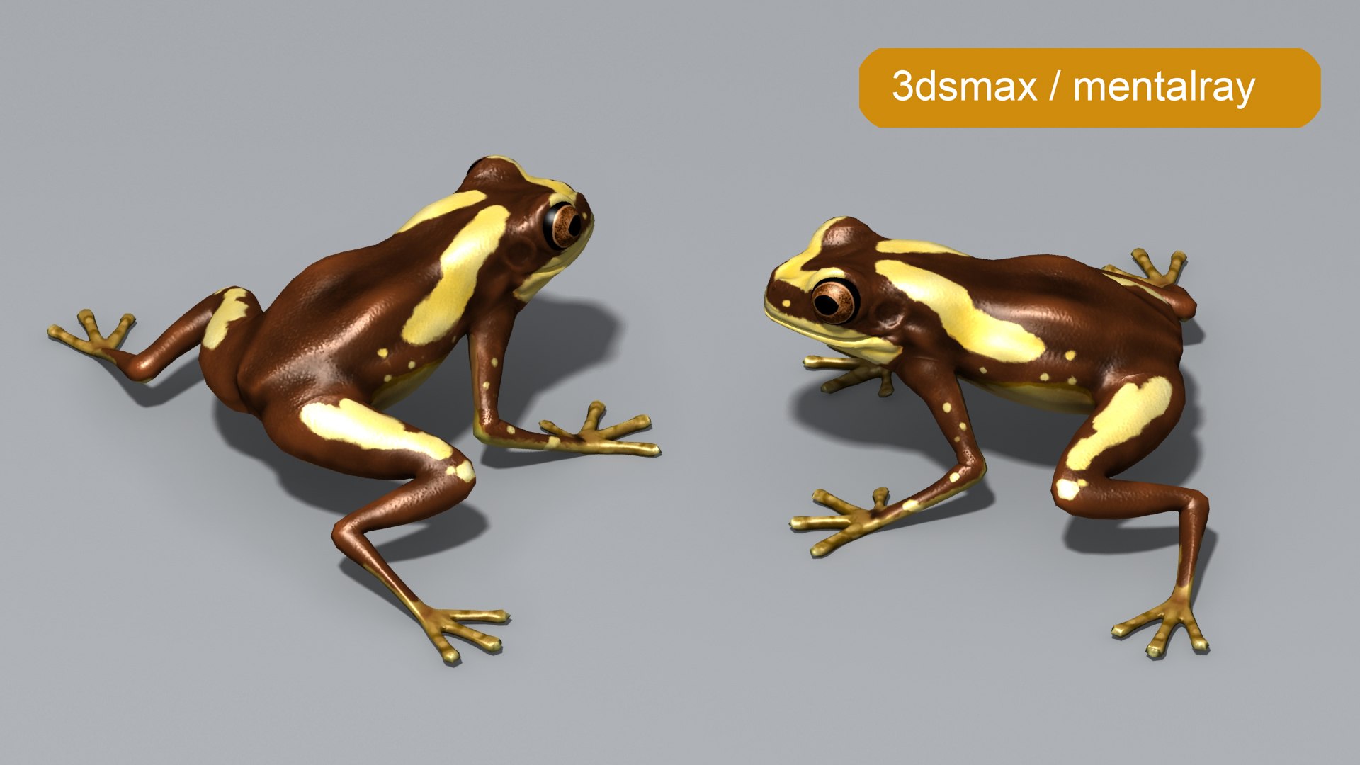 Clown Frog Model - TurboSquid 2200837