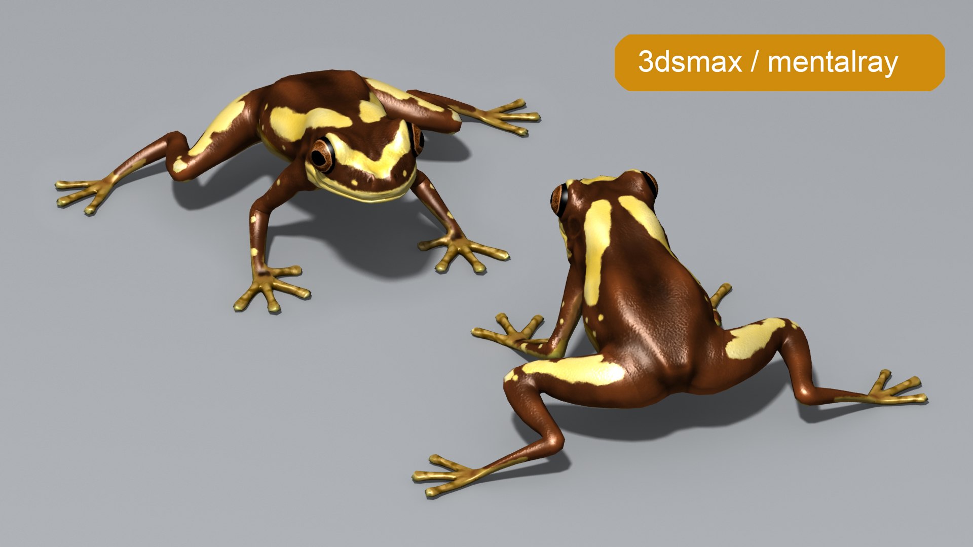 Clown Frog Model - TurboSquid 2200837