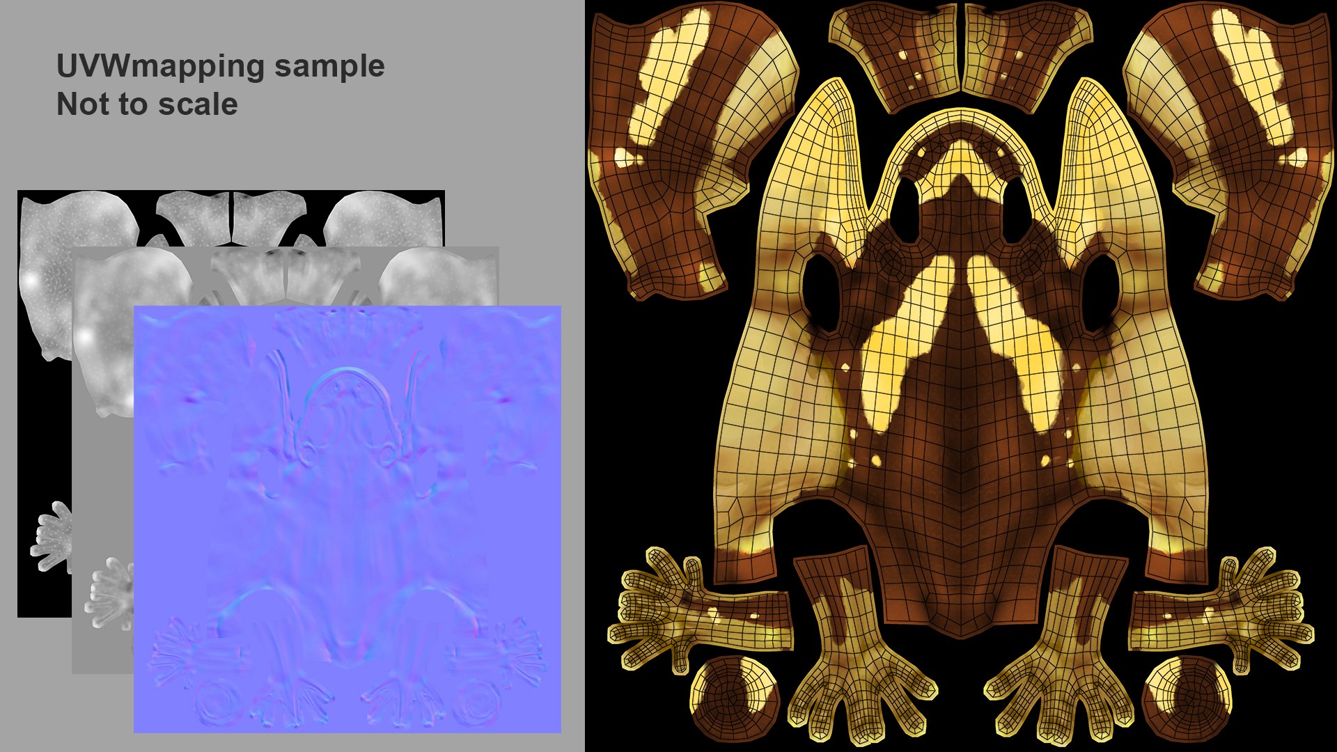 Clown Frog Model - TurboSquid 2200837