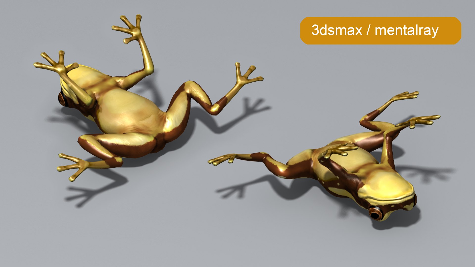 Clown Frog Model - TurboSquid 2200837