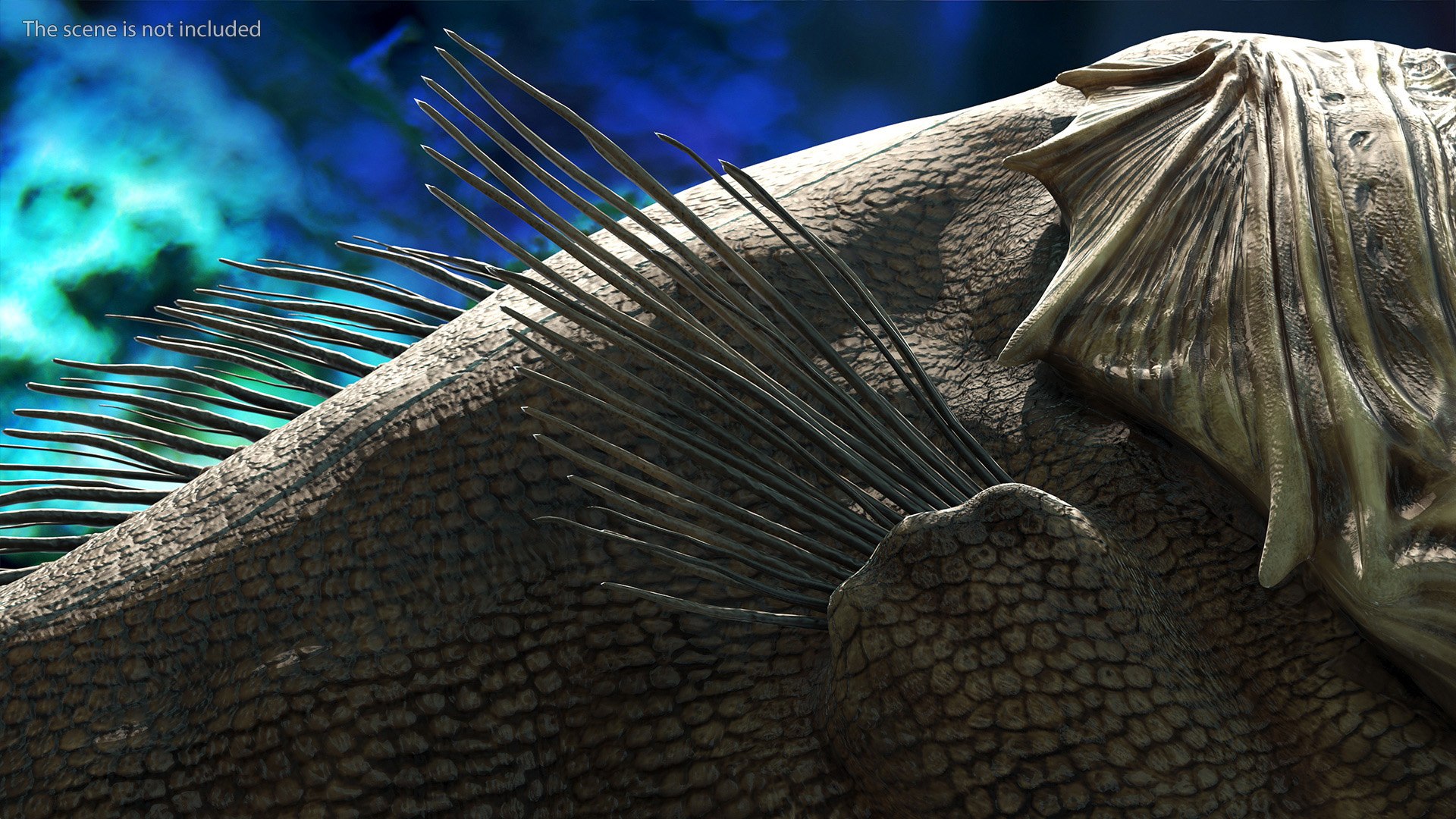 Fangtooth Fish Anoplogaster Cornuta 3D model - TurboSquid 2046556