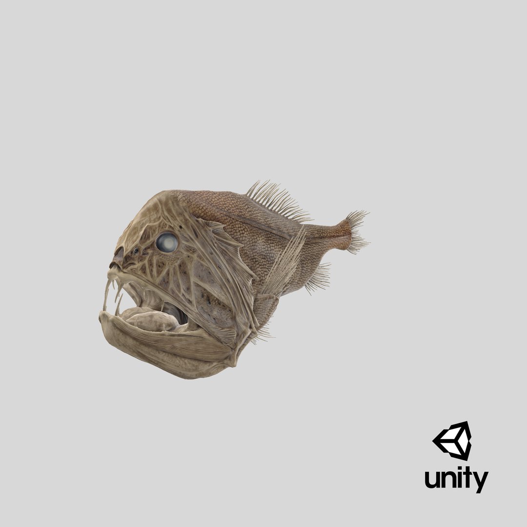 Fangtooth Fish Anoplogaster Cornuta 3D Model - TurboSquid 2046556