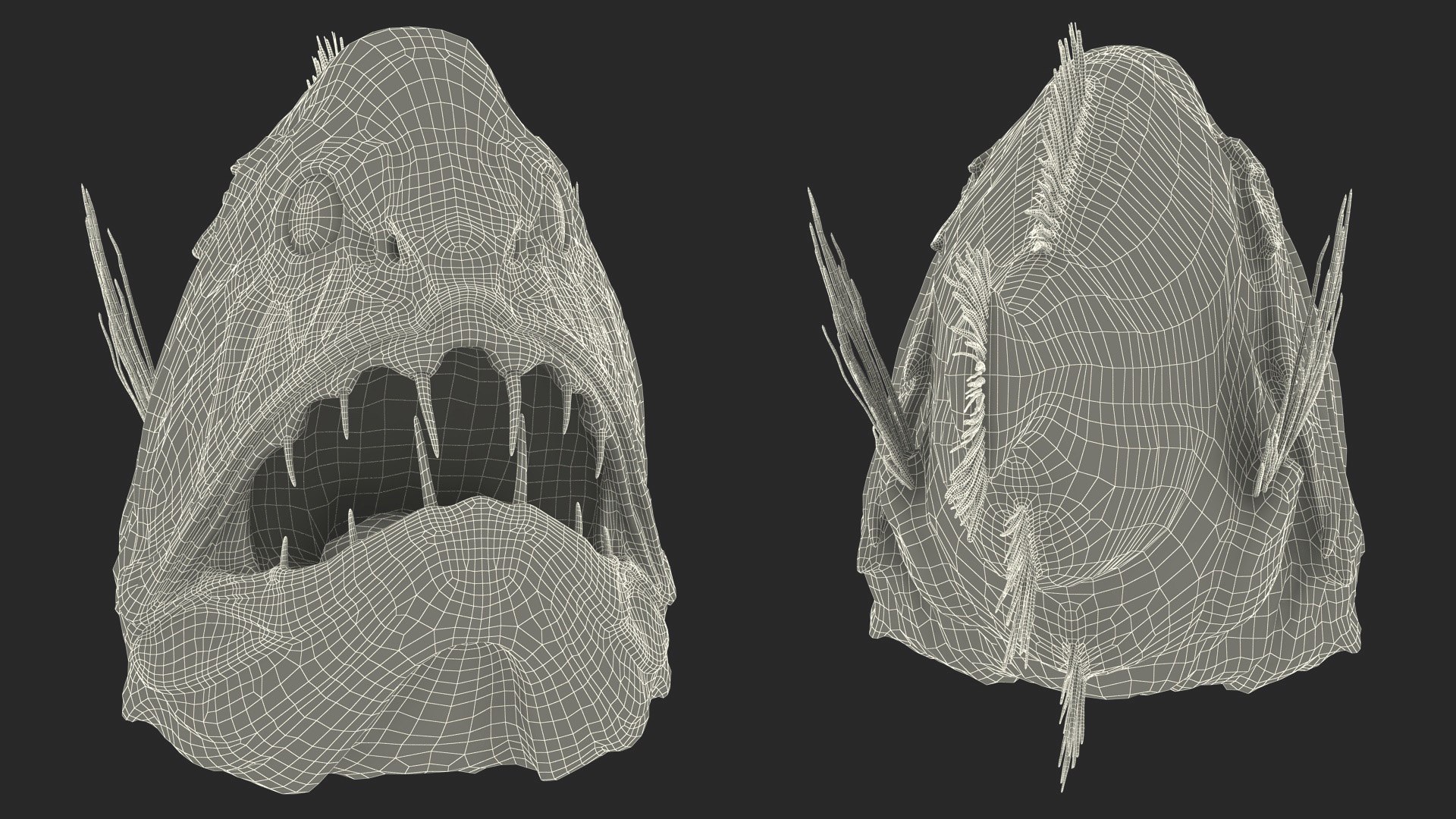 Fangtooth Fish Anoplogaster Cornuta 3D Model - TurboSquid 2046556