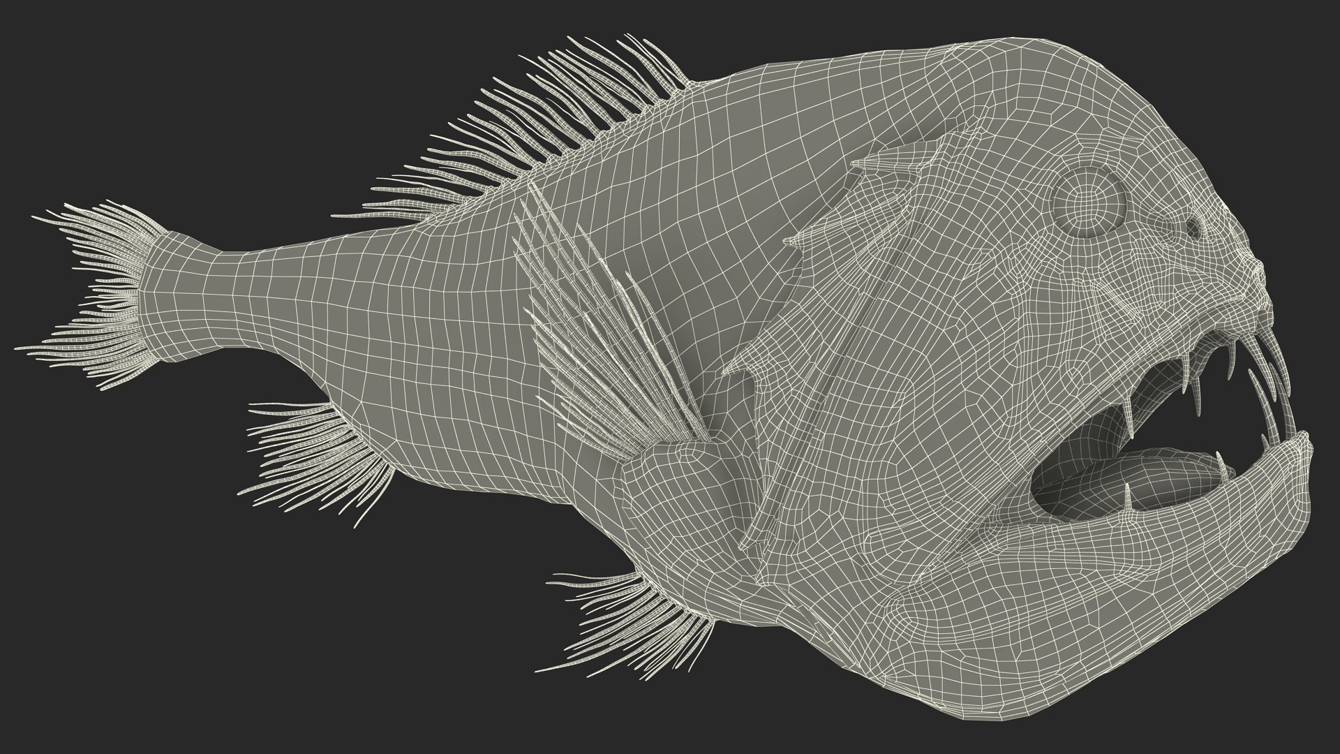 Fangtooth Fish Anoplogaster Cornuta 3D Model - TurboSquid 2046556