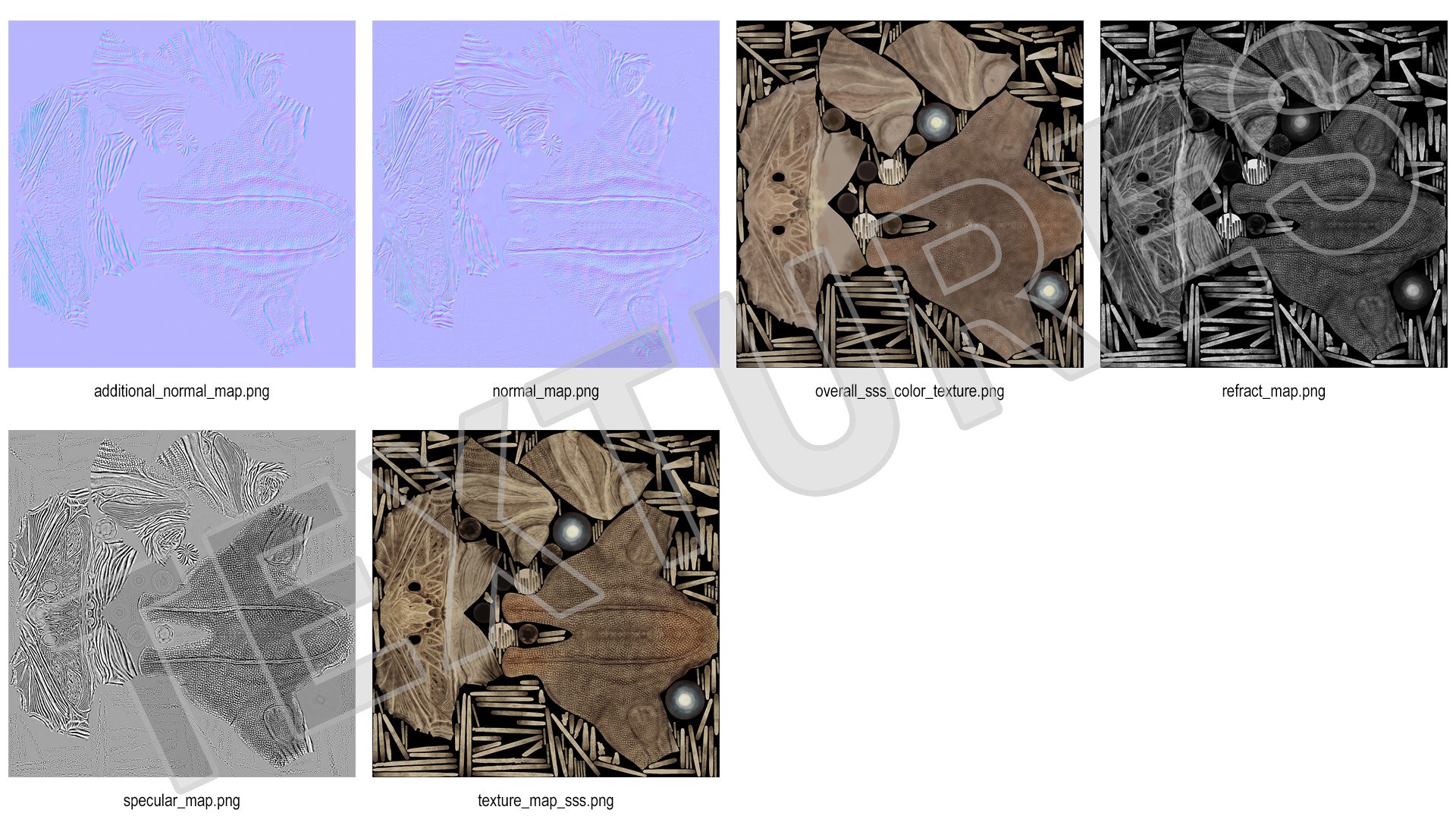 Fangtooth Fish Anoplogaster Cornuta 3D Model - TurboSquid 2046556