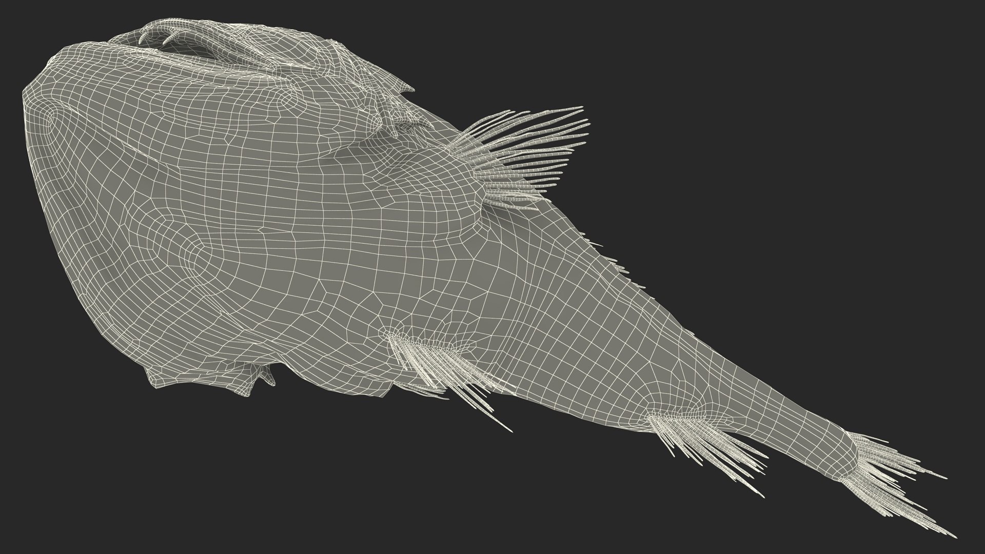 Fangtooth Fish Anoplogaster Cornuta 3D Model - TurboSquid 2046556