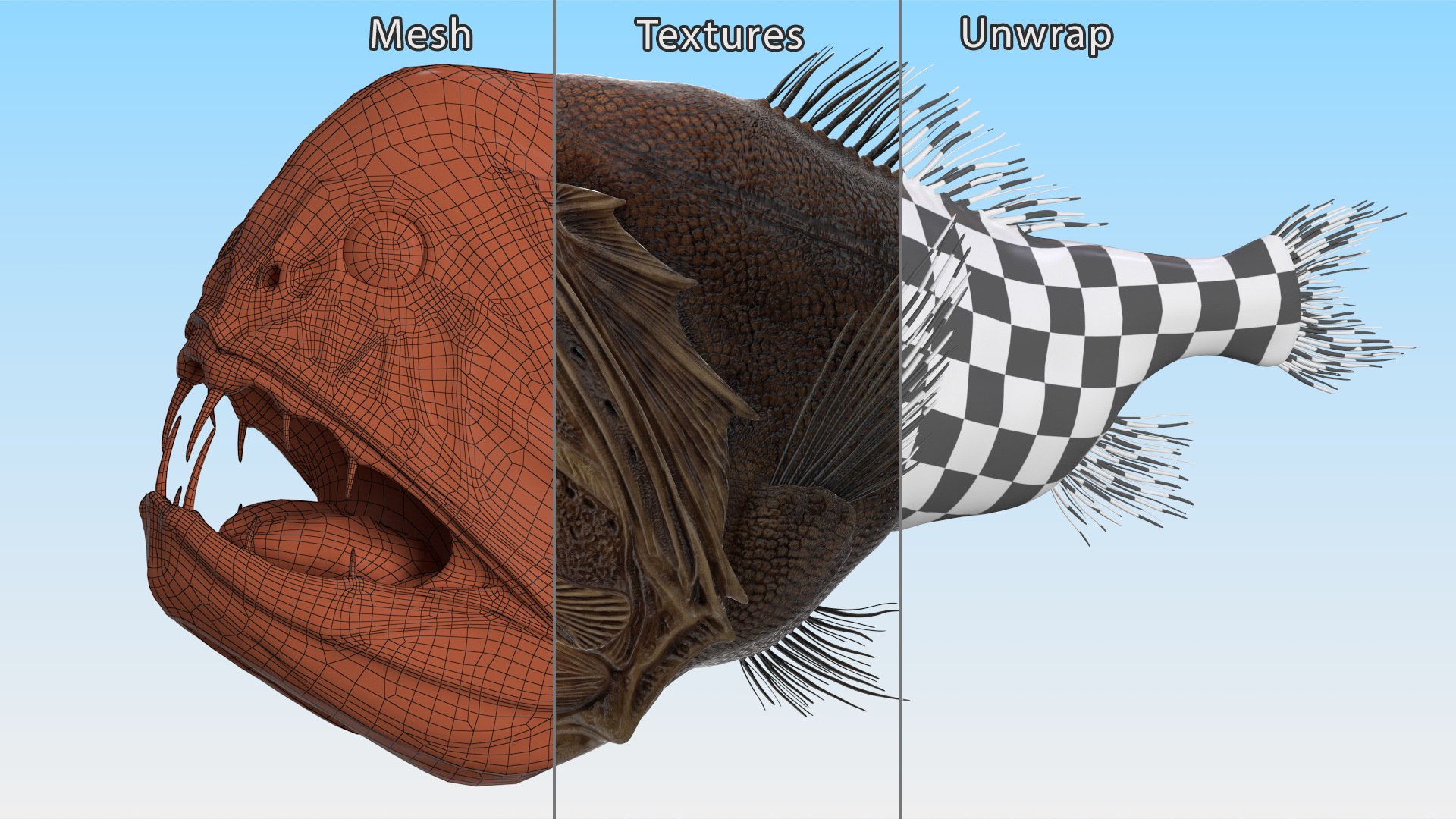 Fangtooth Fish Anoplogaster Cornuta 3D model - TurboSquid 2046556