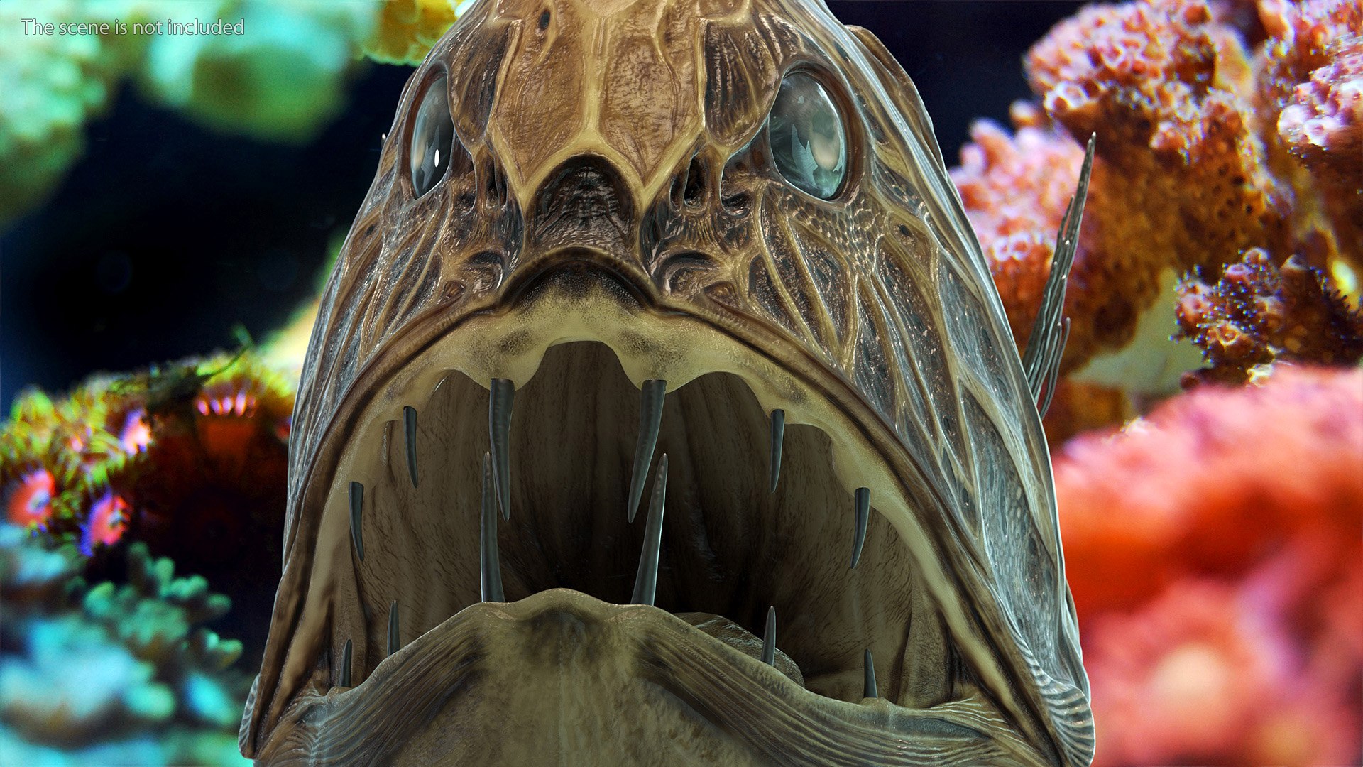 Fangtooth Fish Anoplogaster Cornuta 3D model - TurboSquid 2046556