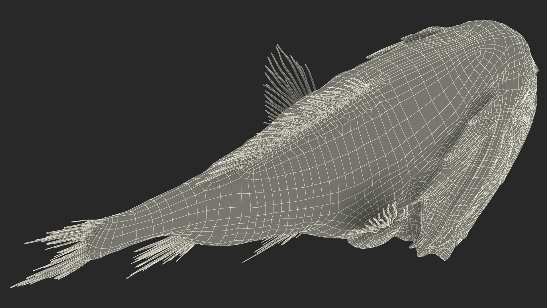 Fangtooth Fish Anoplogaster Cornuta 3D Model - TurboSquid 2046556