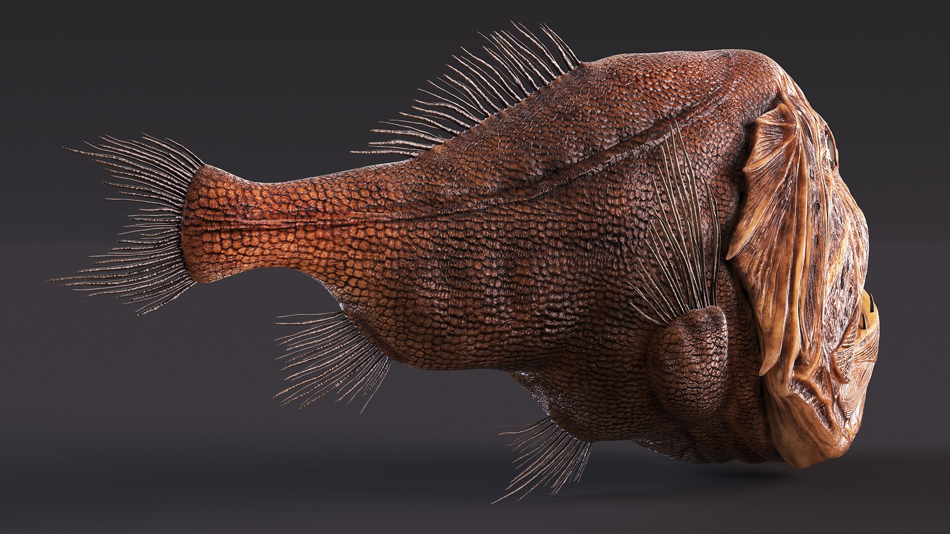 Fangtooth Fish Anoplogaster Cornuta 3D model - TurboSquid 2046556