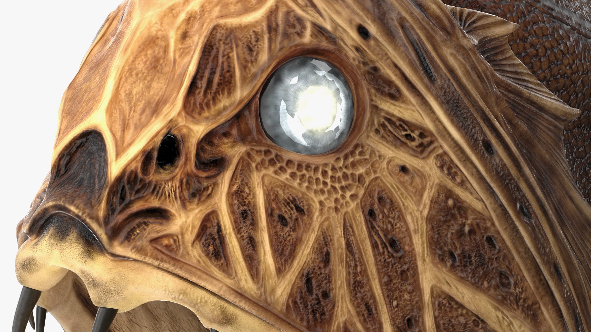 Fangtooth Fish Anoplogaster Cornuta 3D model - TurboSquid 2046556