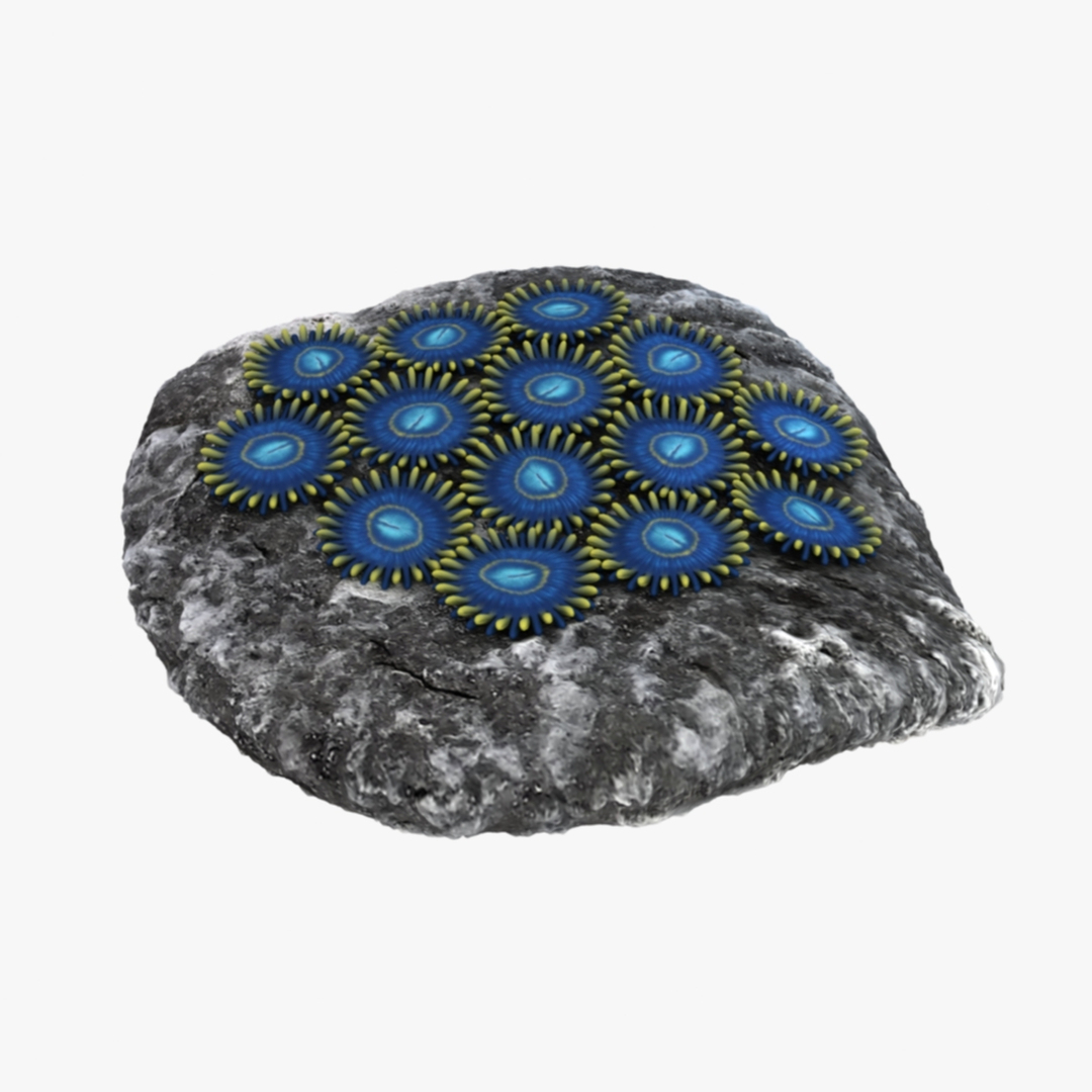 3d Model Blue Hornet