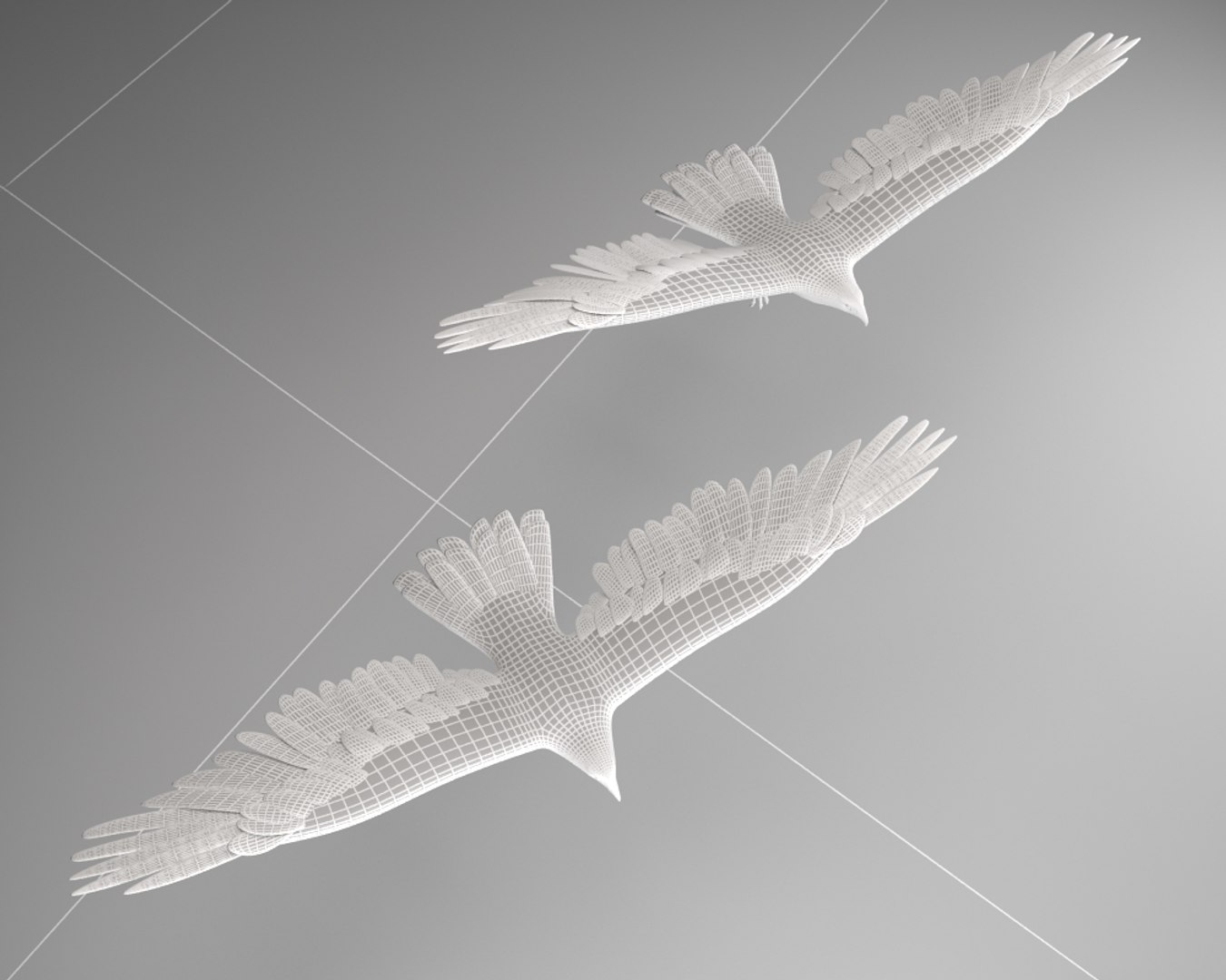 Eagle Hawk Flying Model - TurboSquid 1531433