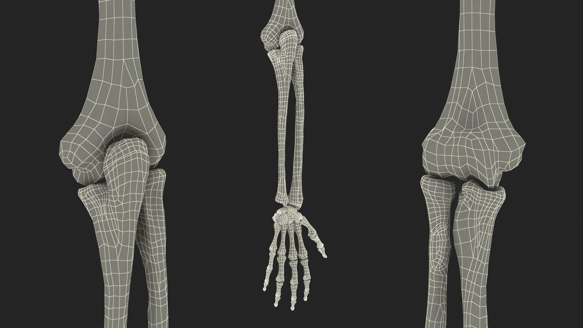 3D Human Arm Skeletal Anatomy - TurboSquid 2386031