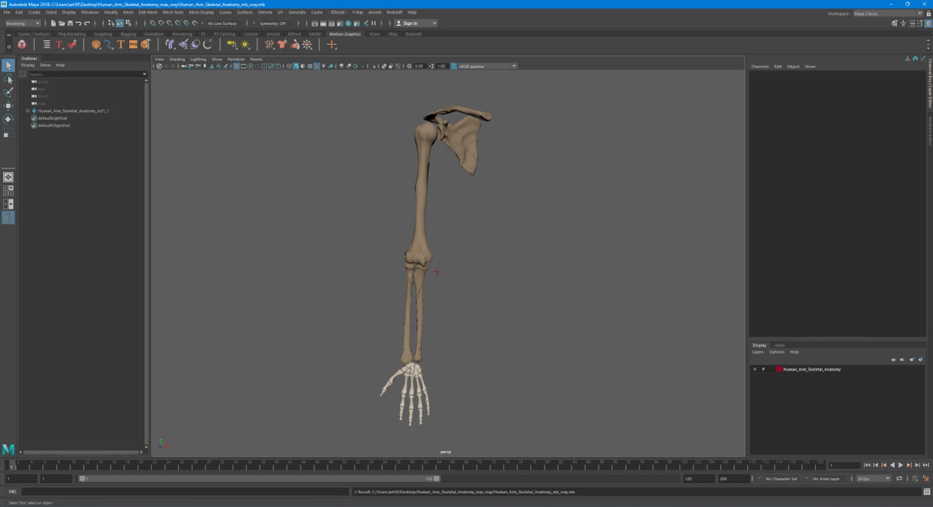 3D Human Arm Skeletal Anatomy - TurboSquid 2386031