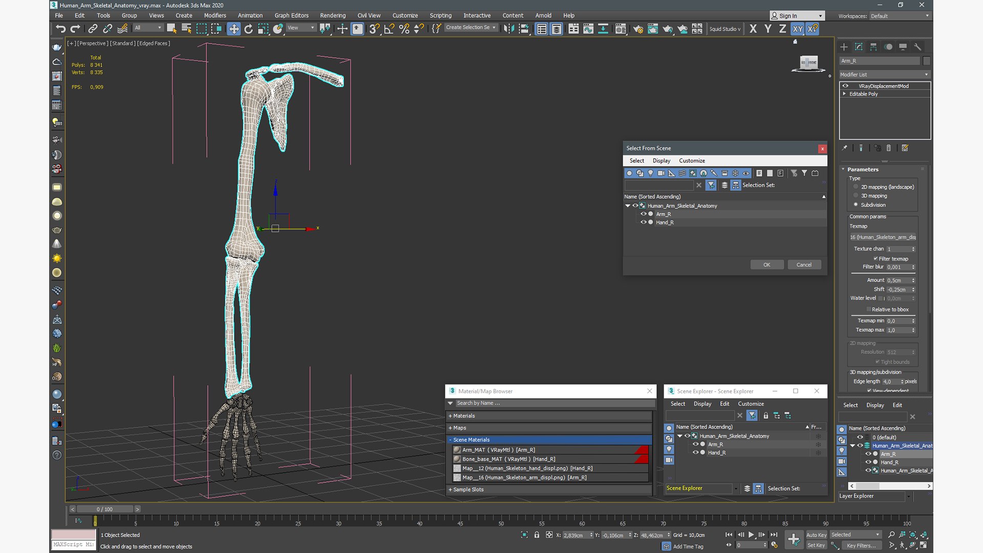 3D Human Arm Skeletal Anatomy - TurboSquid 2386031