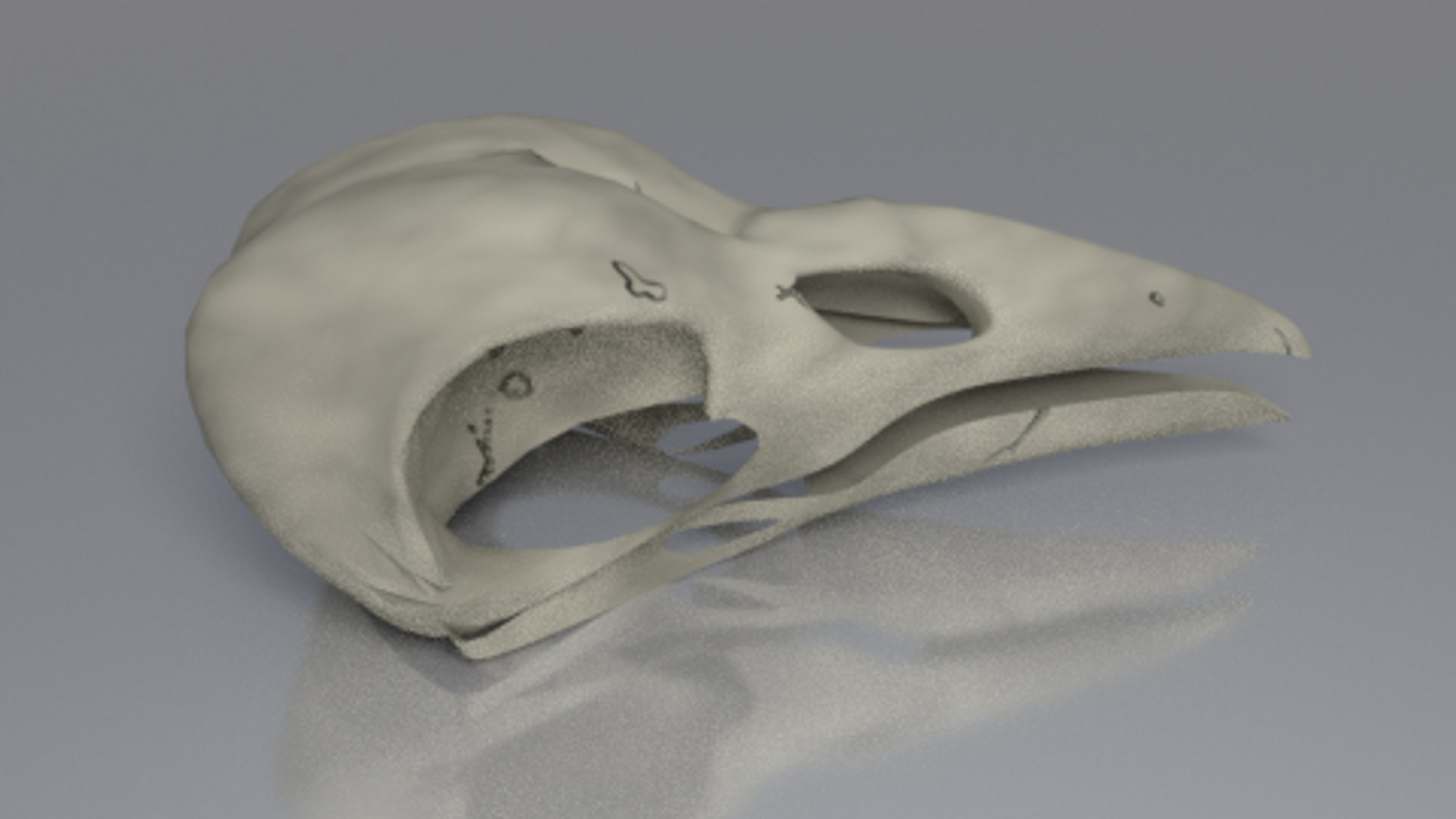 Skull Head Crow 3d Obj