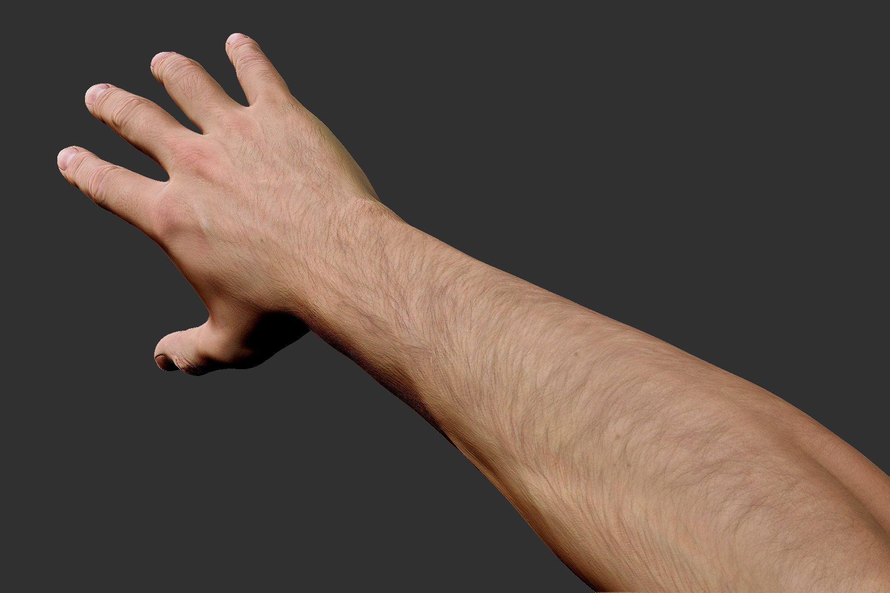 3D realistic male arm hand model - TurboSquid 1468803