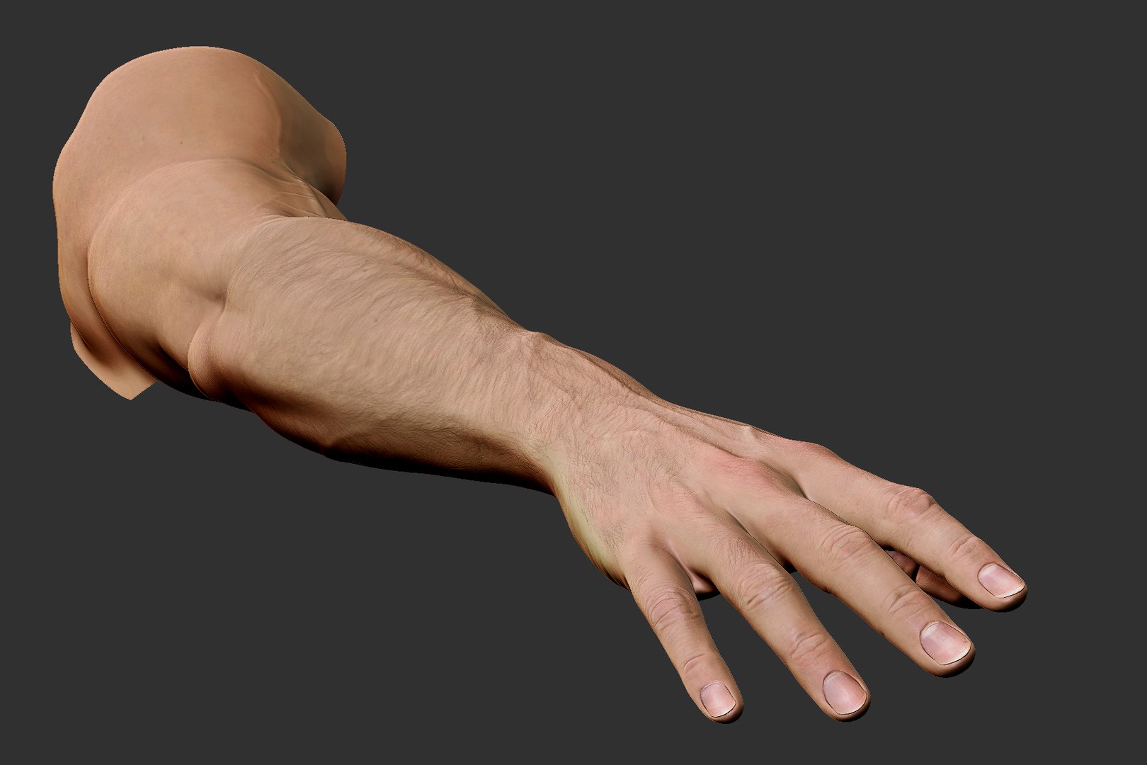 3D realistic male arm hand model - TurboSquid 1468803