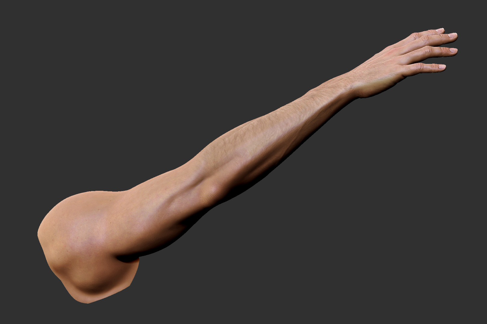3D realistic male arm hand model - TurboSquid 1468803