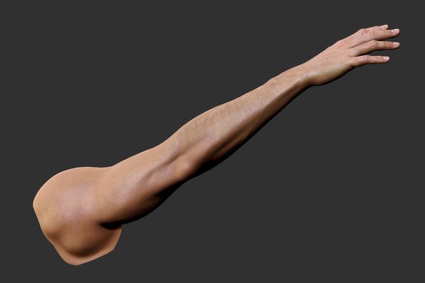 3D realistic male arm hand model - TurboSquid 1468803