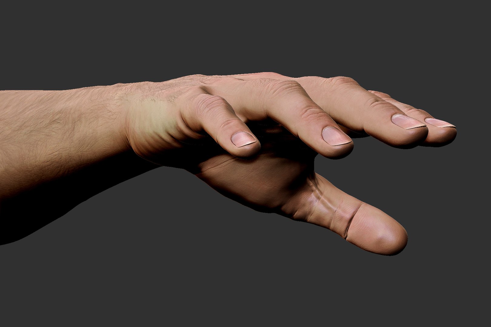 3D Realistic Male Arm Hand Model - TurboSquid 1468803