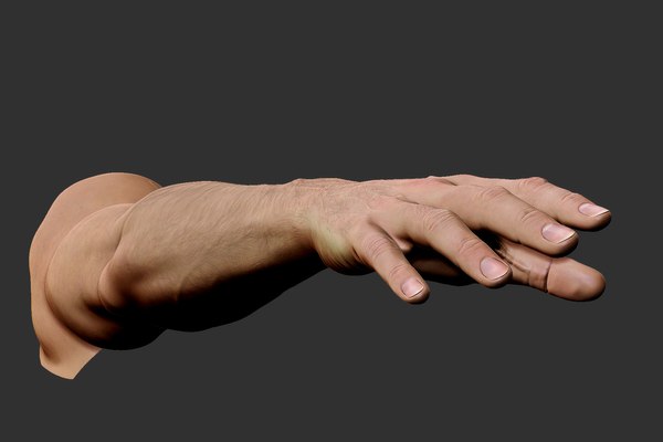 3D realistic male arm hand model - TurboSquid 1468803