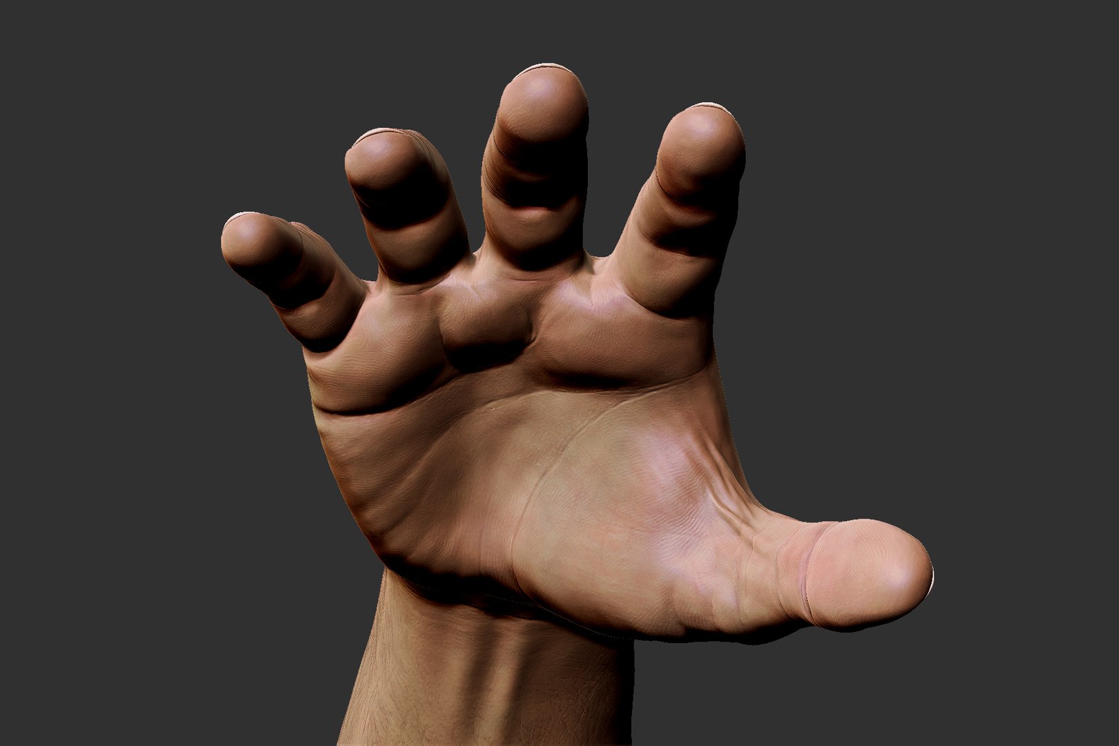 3D realistic male arm hand model - TurboSquid 1468803